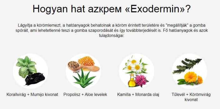 Exodermin - vélemények, ára, rendelés, gyógyszertár, összetétele ...